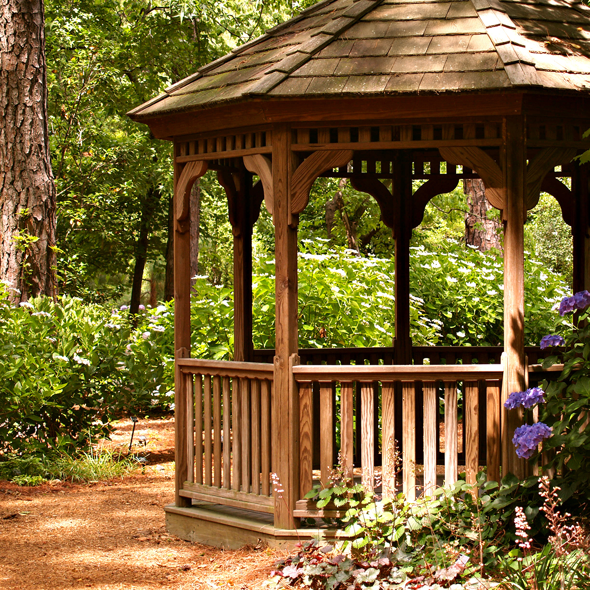 The Science Behind Pressure-Treated Wood - Culpeper Treated Lumber